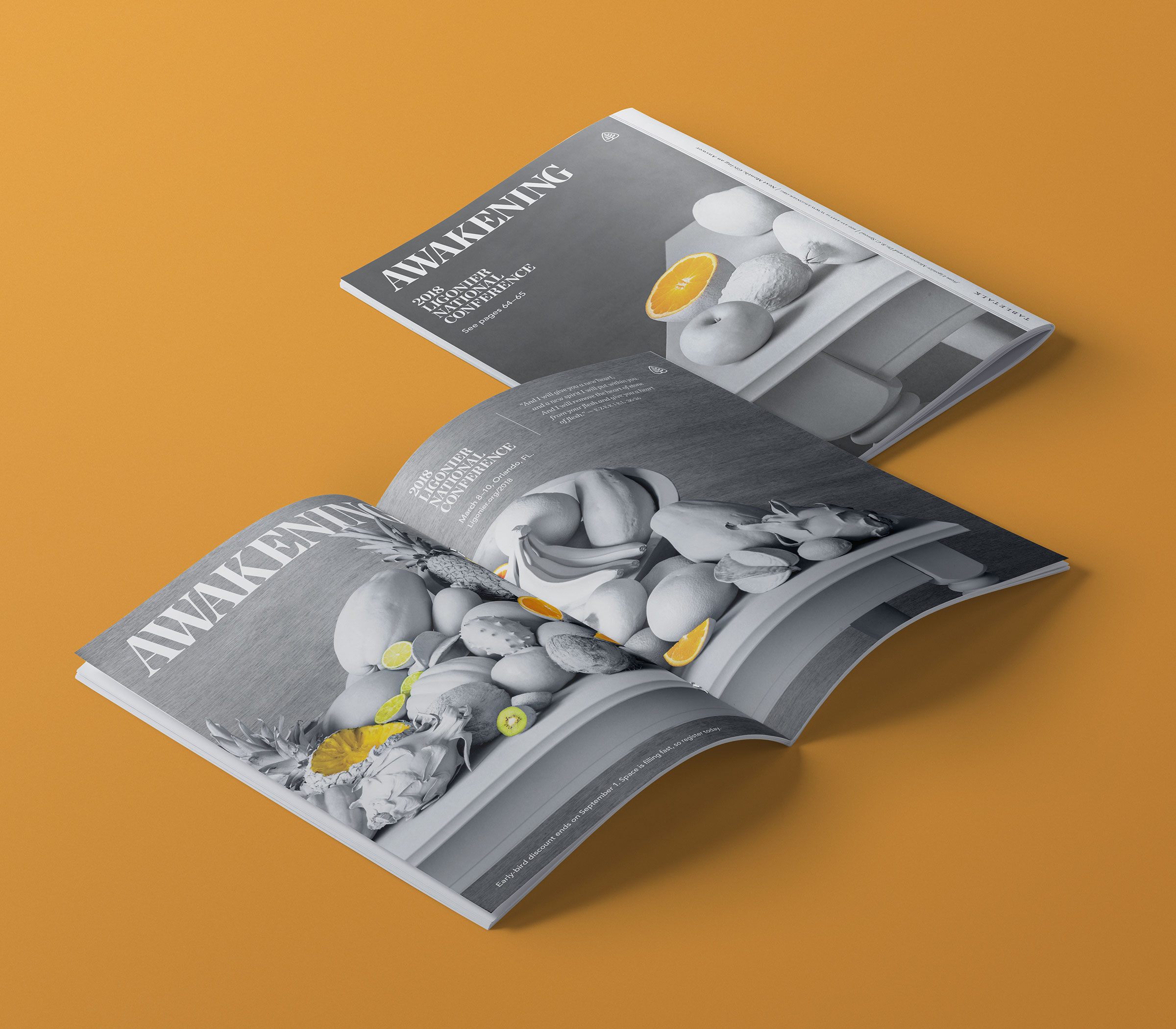 Creative Branding & Design Agency | Work | Metaleap